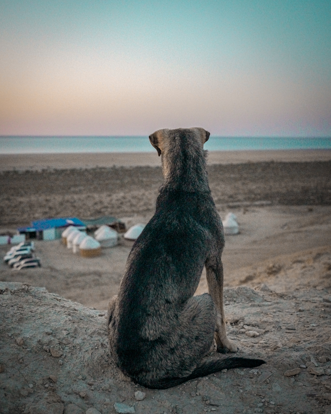 Bes Qala Yurt Camp: A Unique Nomadic-Style Stay by the Aral Sea - On ...